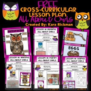 Teaching Cross Curricular Using Poetry! - Create Your Balance with Literacy